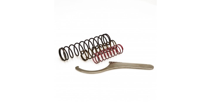 BOV Race Port Spring System